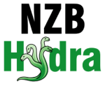 Install NZBHydra Windows for Universal Usenet Searching